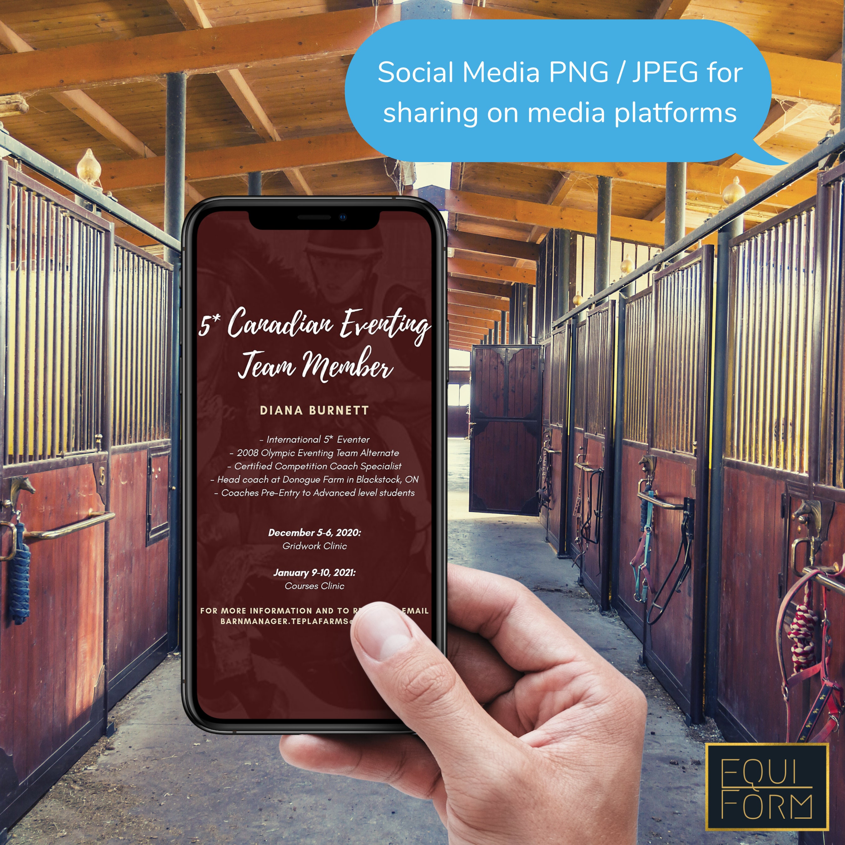 Equine Clinic Poster & Flyer - Etsy