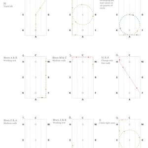 2022 USEA Starter Dressage Test Diagram - Etsy