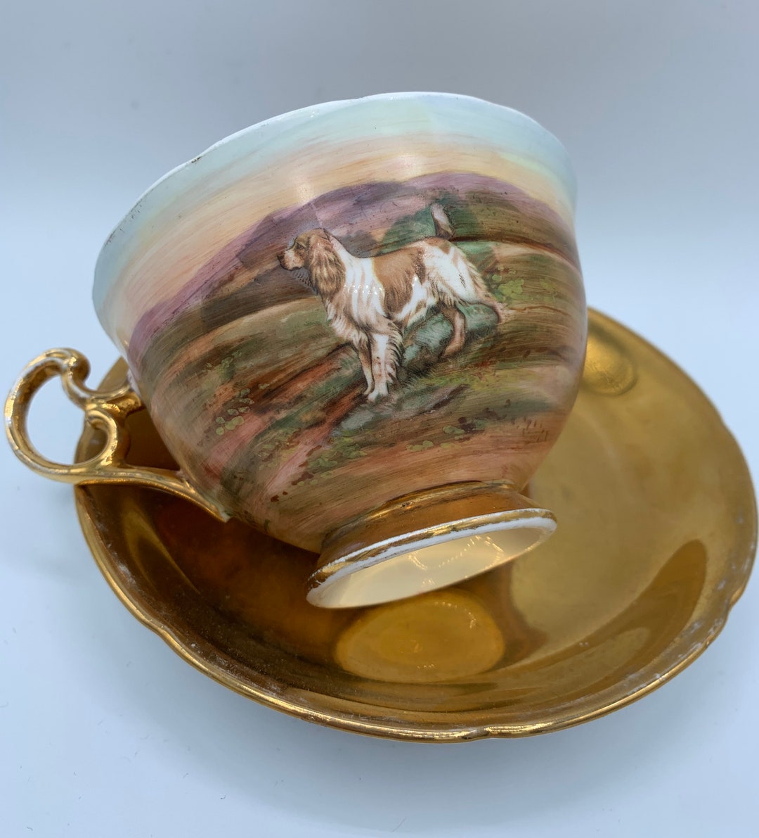 Hand-painted Spaniel & Pointer Tea Cup and Saucer: Royal Winton ...