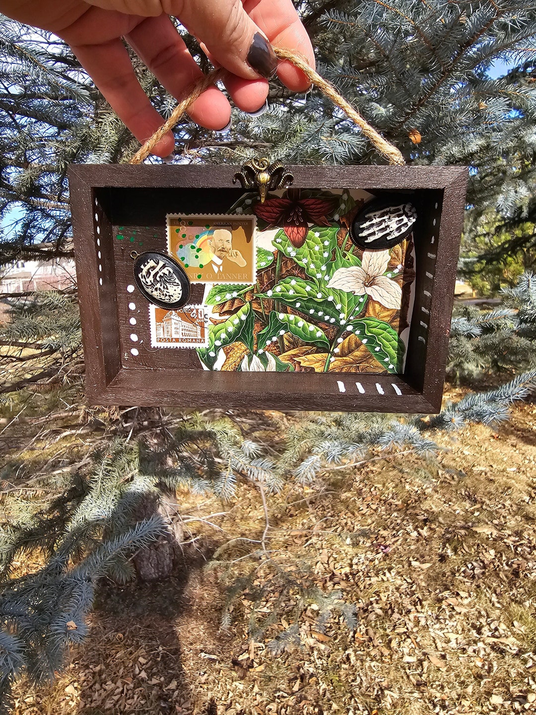 Bone and Fern Shadowbox - Etsy
