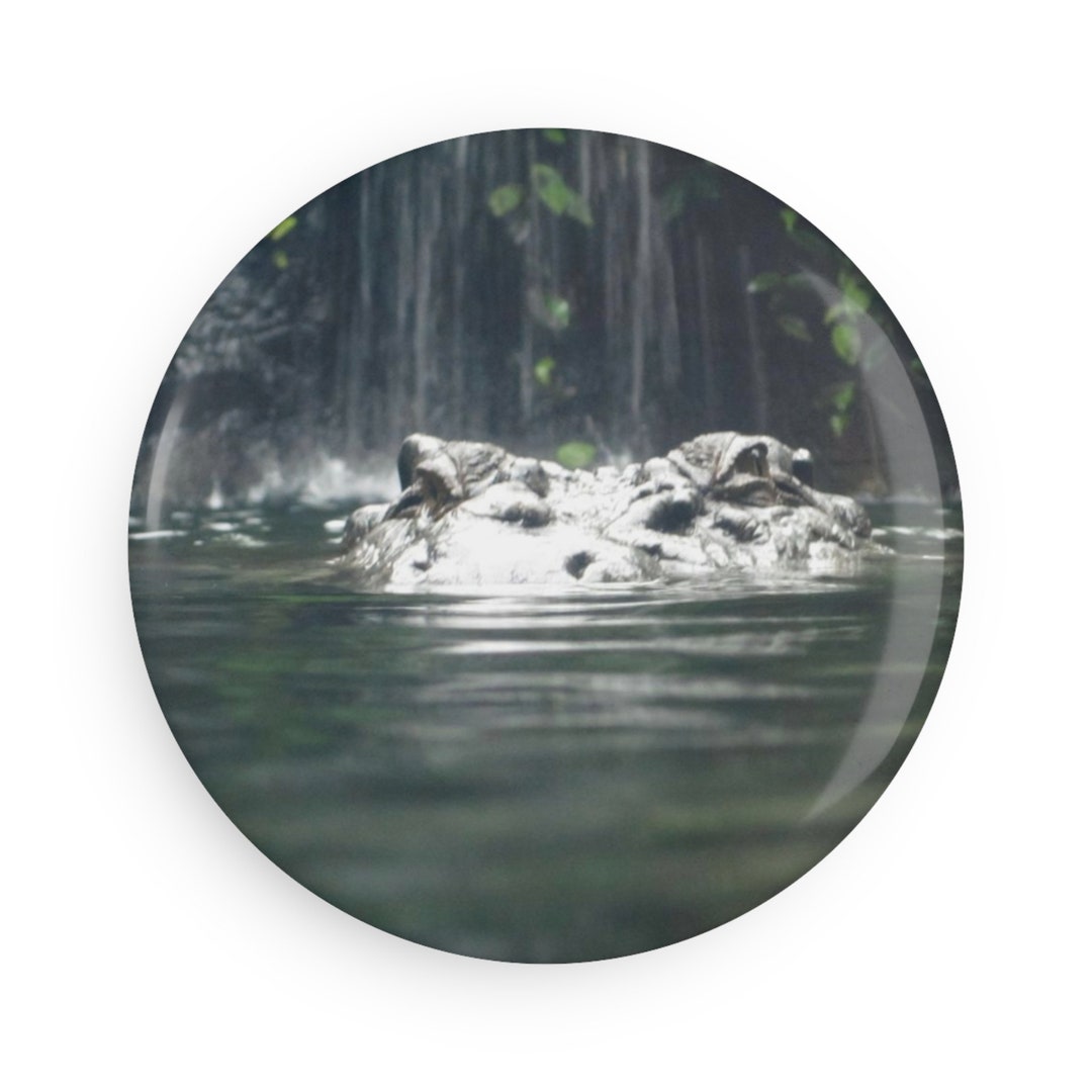 Round Animal Magnet - Alligator / Crocodile Looking at You - Etsy