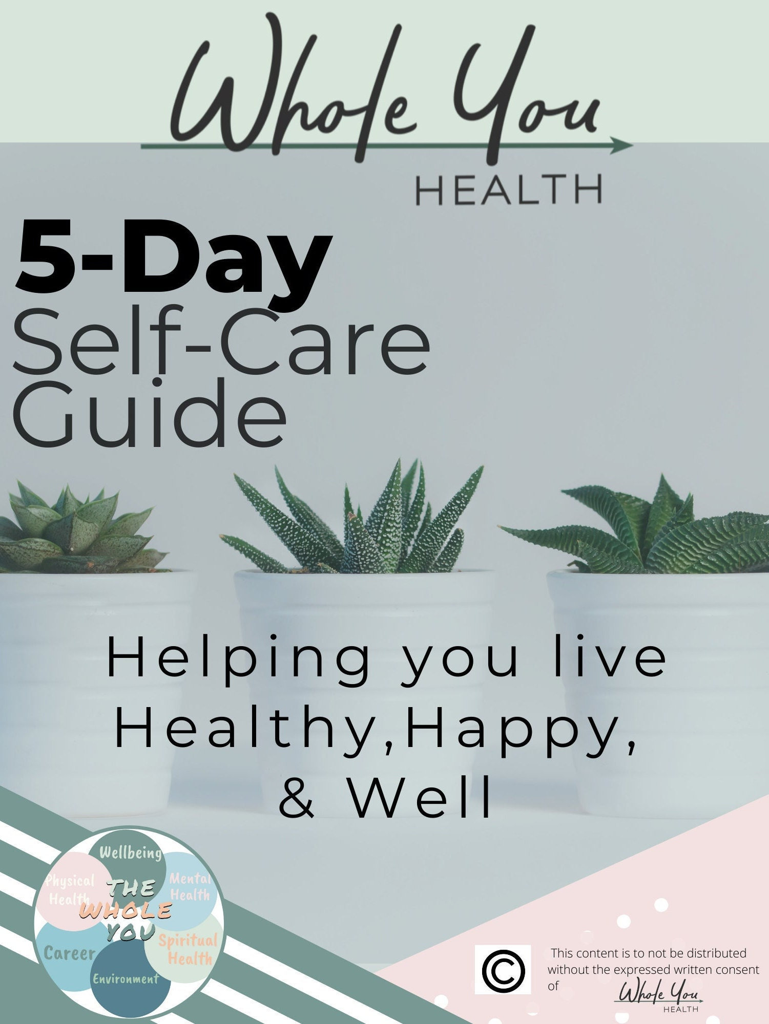 The 5-day Self-care Guide: E-version - Etsy