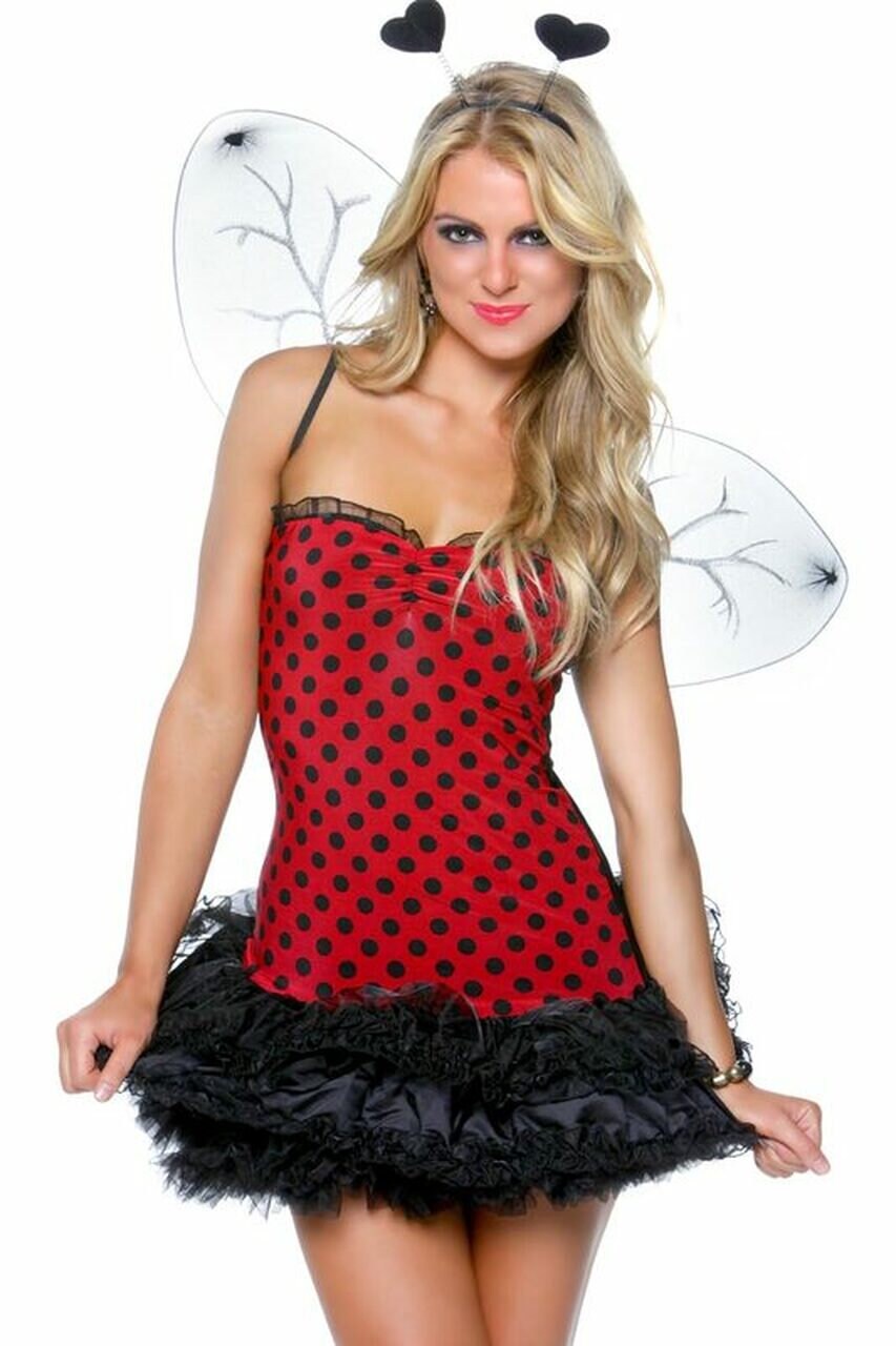 Sexy Ladybug Costume