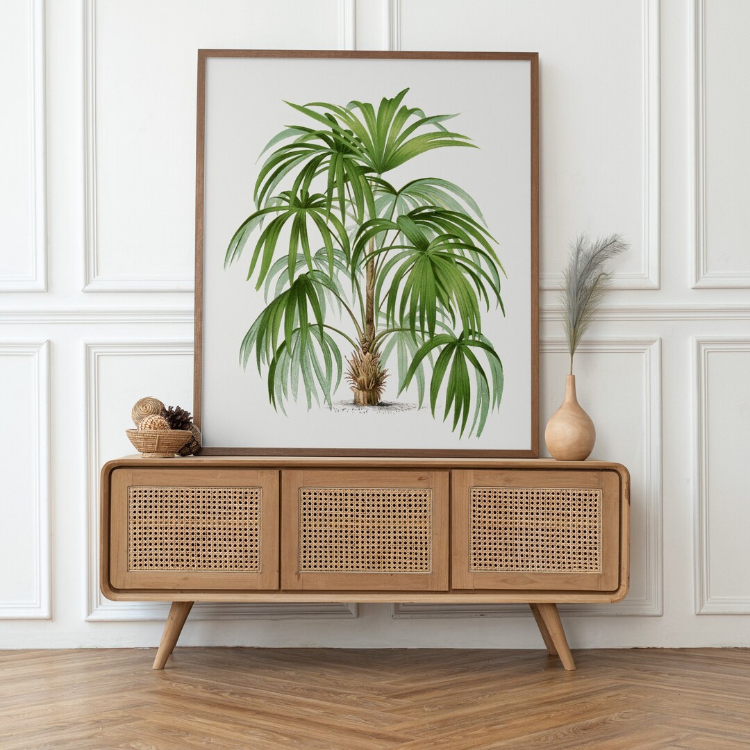 Vintage Palm | Palm Tree Illustration | Vintage Plant Illustration ...