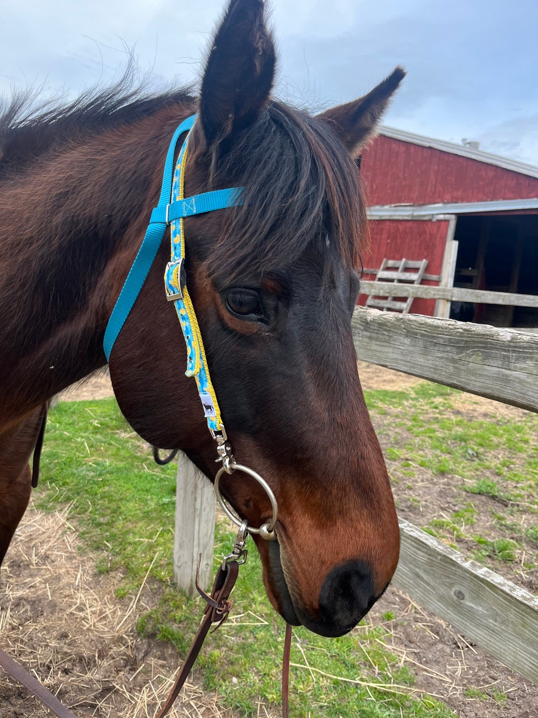 Just Ducky Custom Horse Tack - Etsy