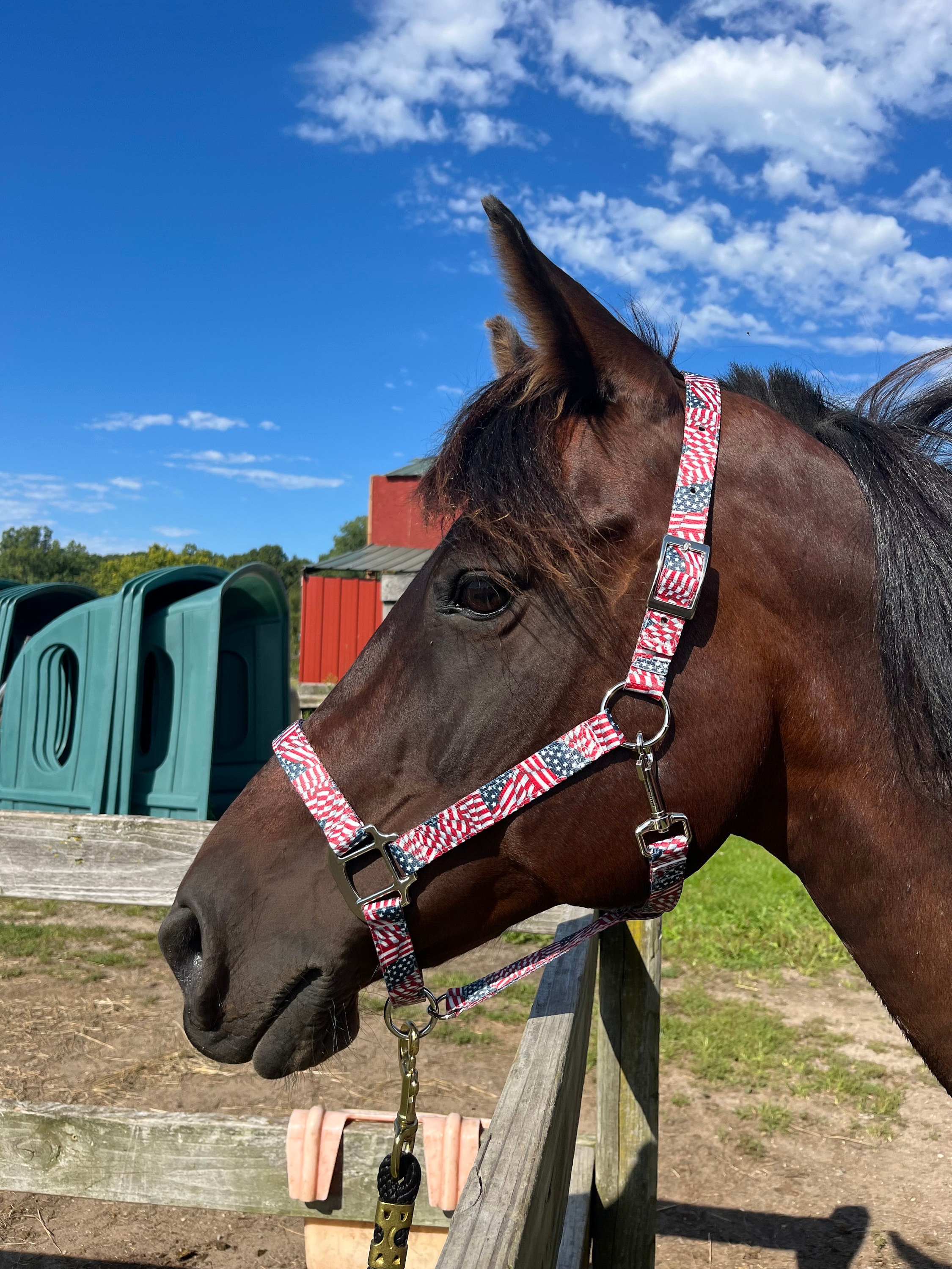 American Flag Custom Horse Tack - Etsy