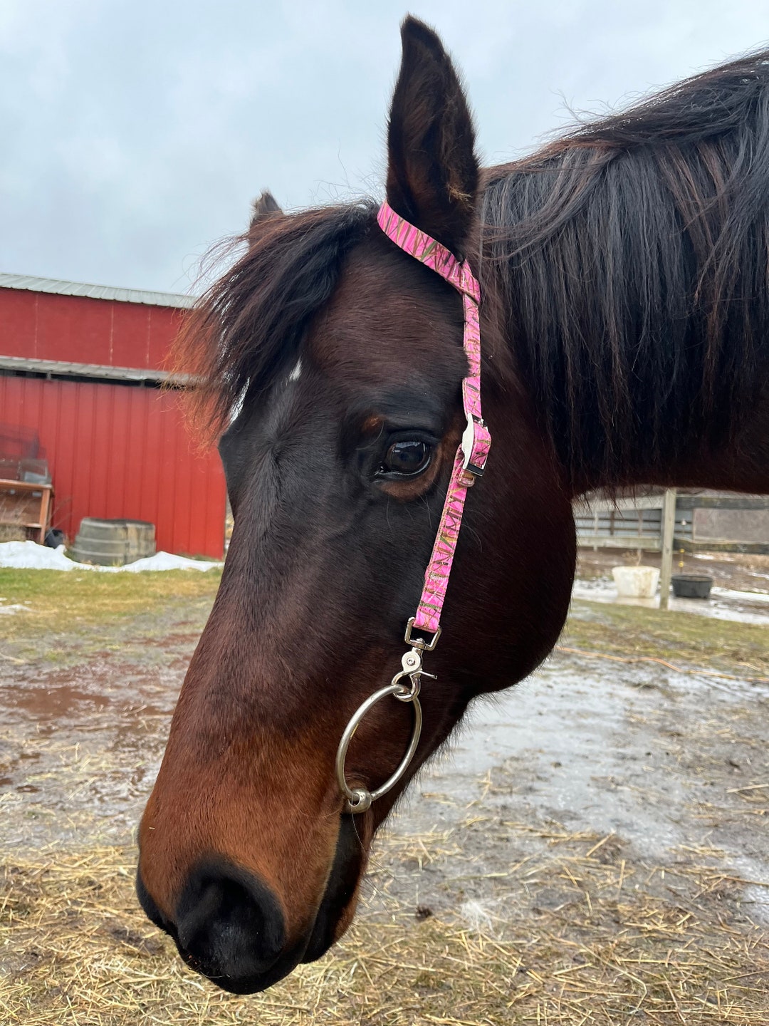 Pink Camo Custom Horse Tack - Etsy
