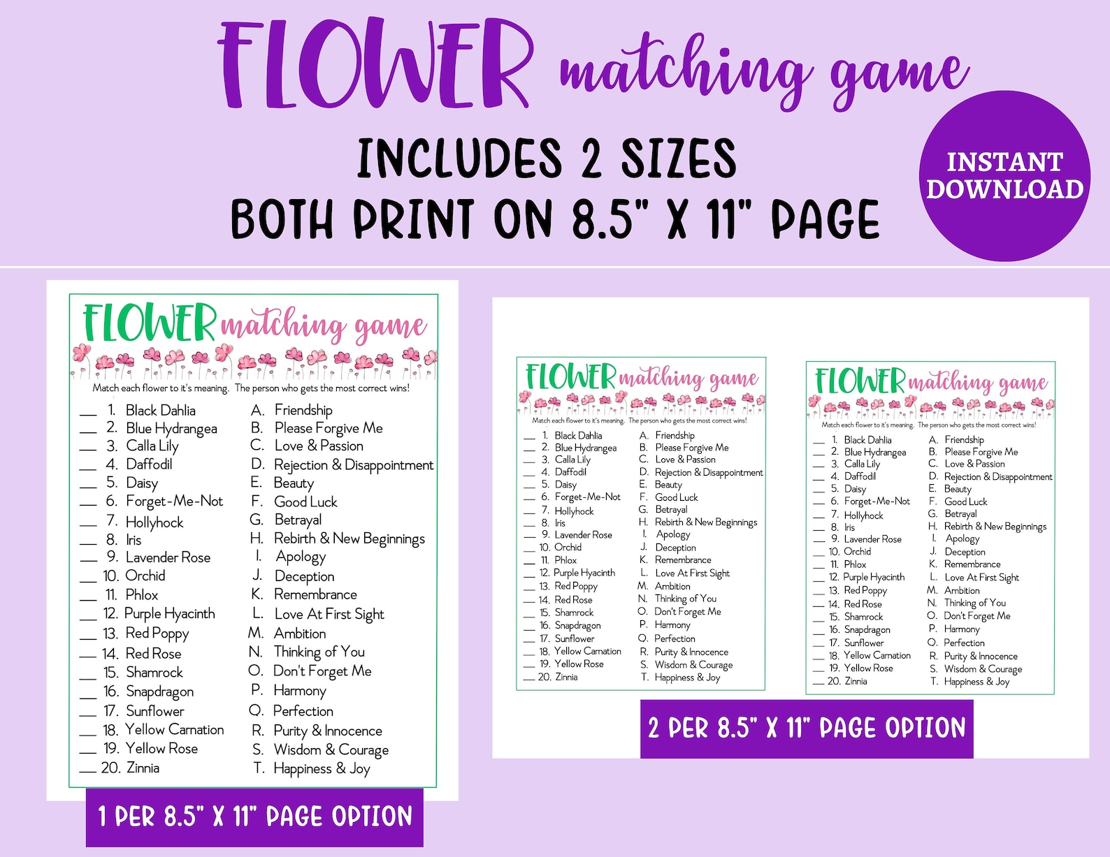 Flower Matching Game, Printable Springtime Game, Spring Trivia Game ...