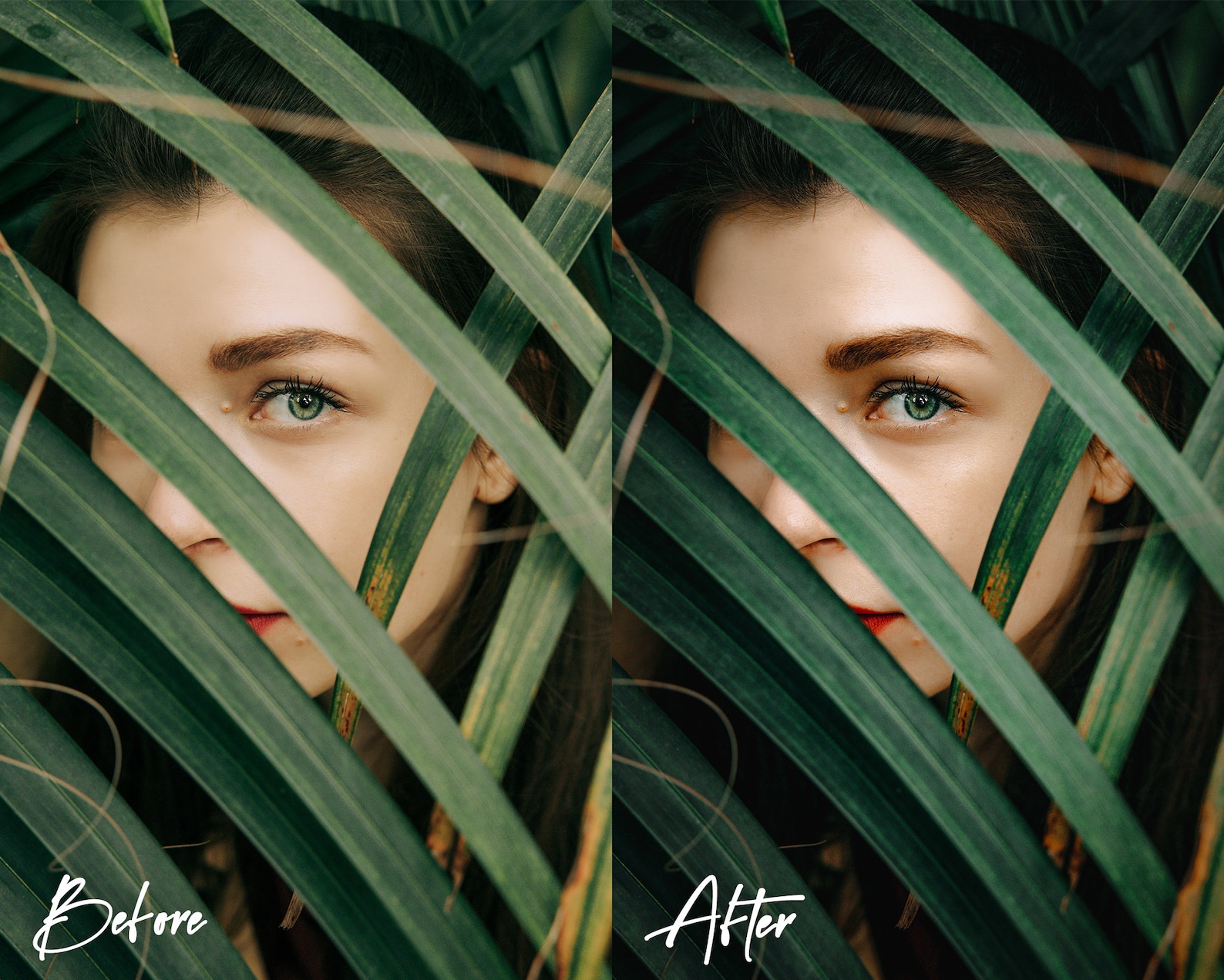 5 Moody Green Lightroom Presets, Mobile and Desktop, Photo Editing ...