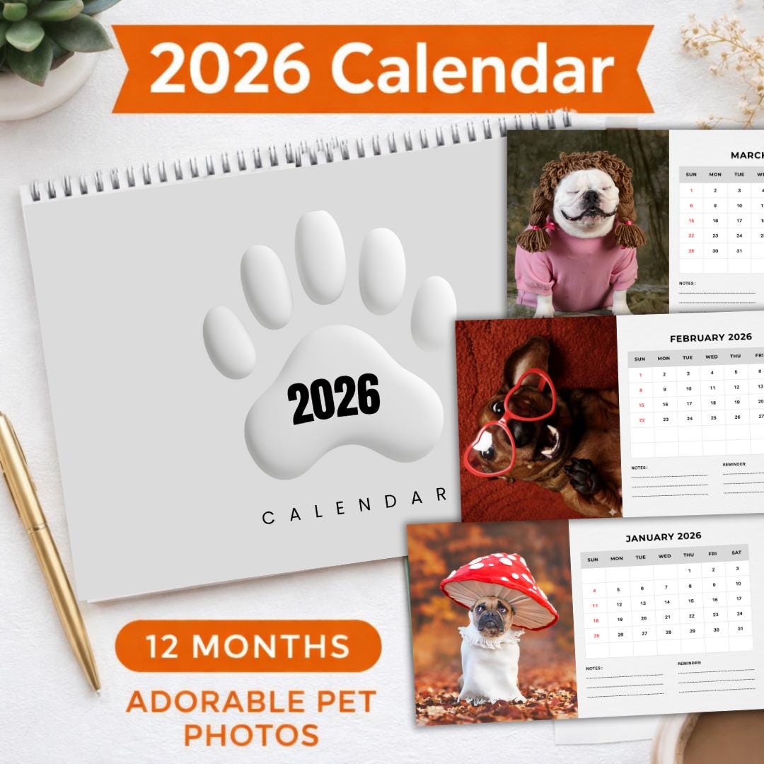 2026 Funny Dog Calendar | A4 Landscape Wall Calendar | Cute Dogs in ...