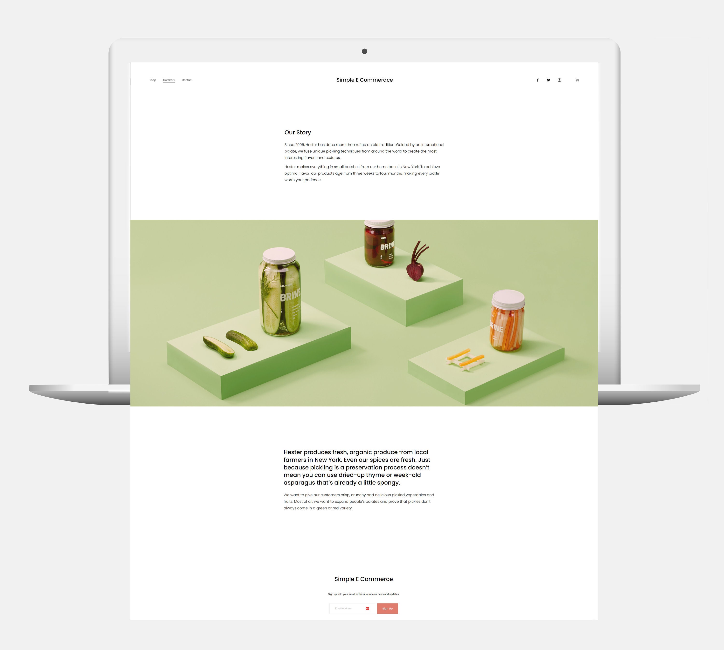 Squarespace Template - Simple E Commerce Template With 30 Minute ...
