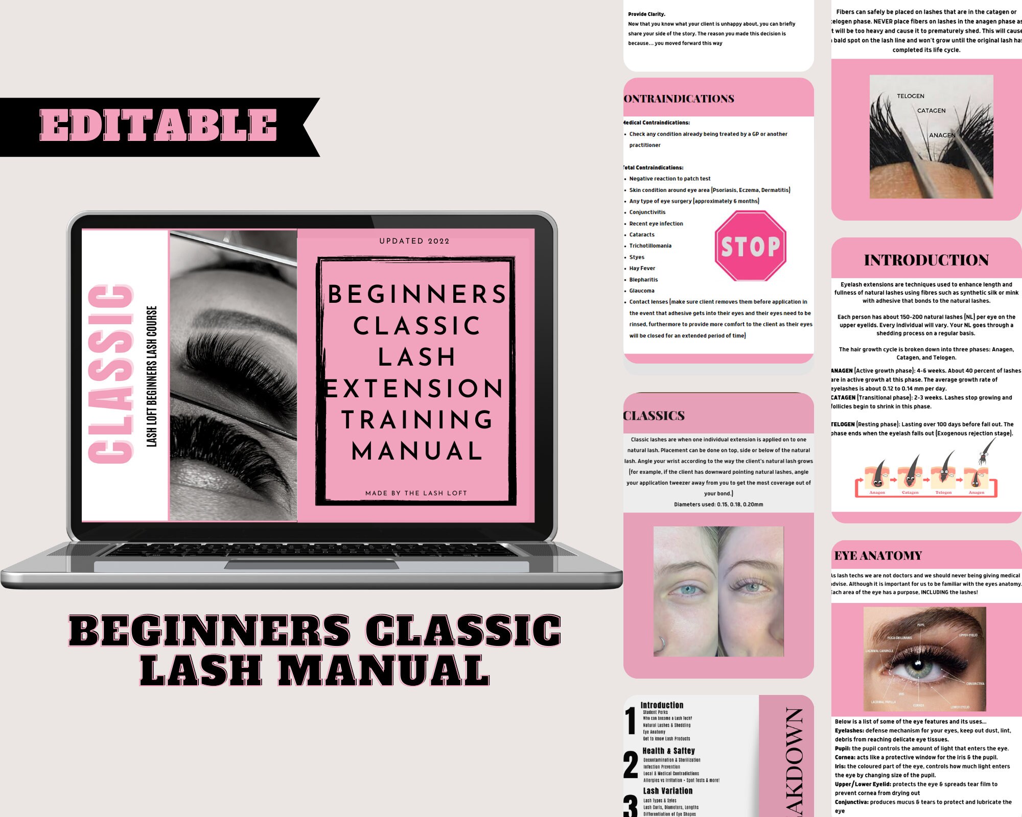 Beginners Classic Eyelash Extensions Manual, Lash Training, Guide, PDF ...