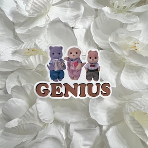 Boygenius Sticker | Phoebe Lucy Julien | Matte Vinyl | Laptop Stickers ...