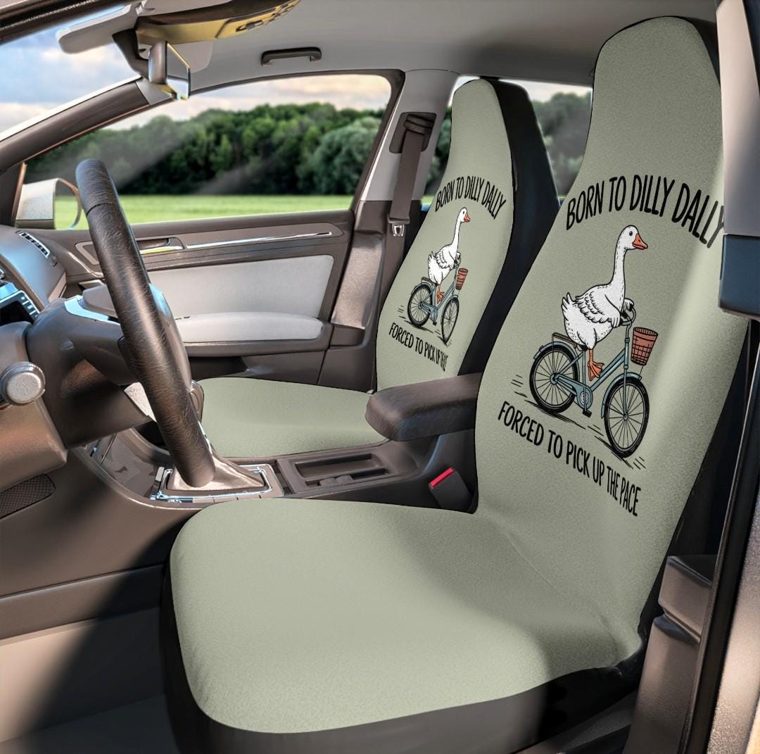 Dilly Dally Car Seat Covers,retro Seat Covers for Vehicle, Car Truck ...