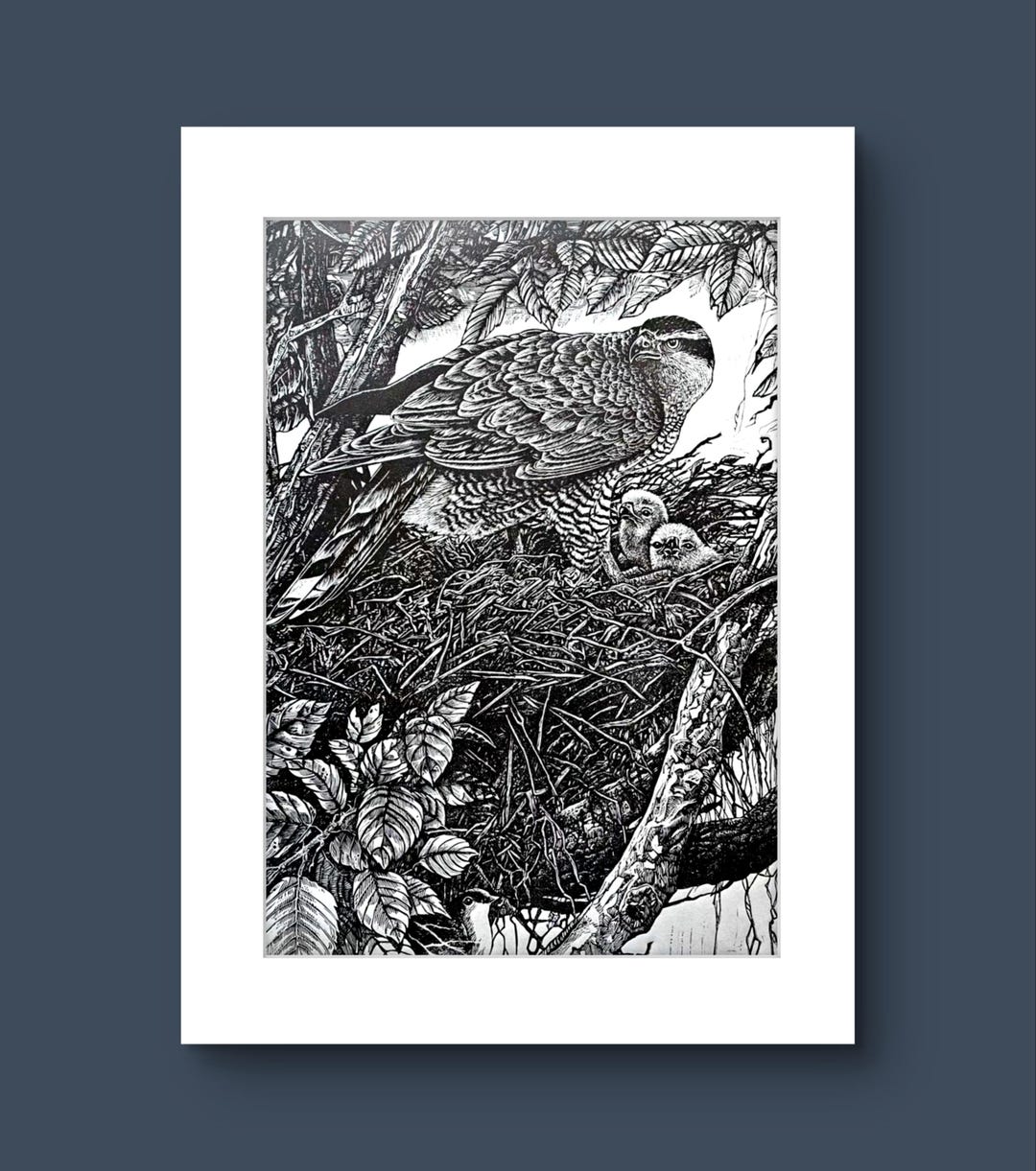 Goshawk Wall Art |lino Print Birds | Handcrafted Lino Print Artwork of ...