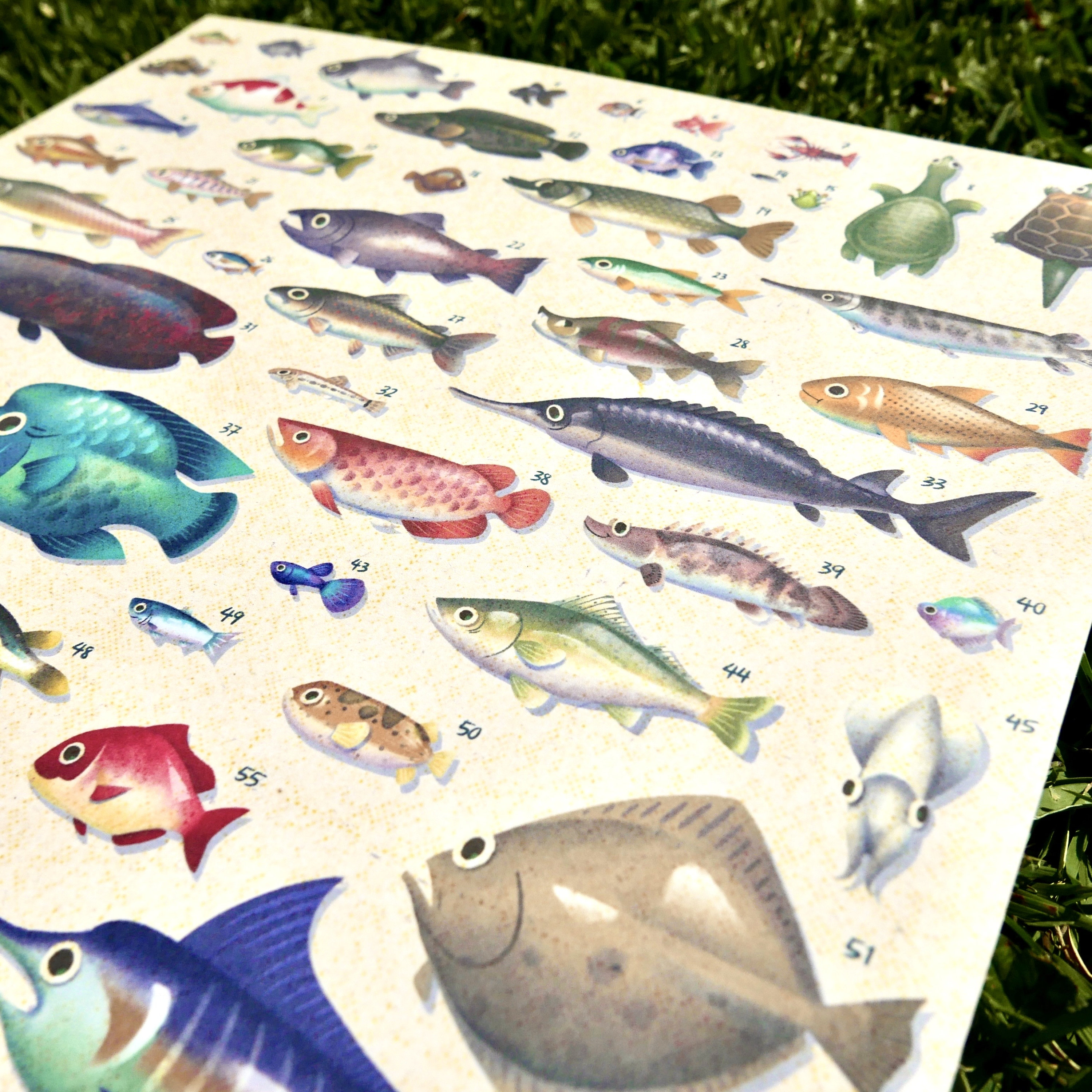 Animal Crossing New Horizons Inspired Fish Print - Vintage Style Poster ...