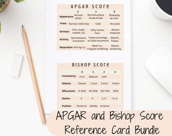 Apgar Badge Buddy - Etsy