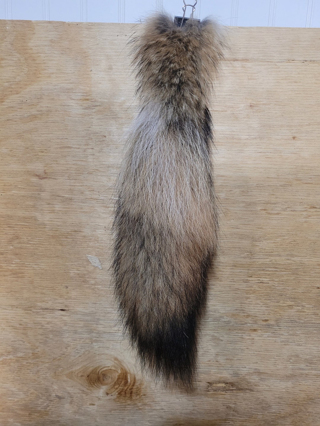 Coyote Tail - Etsy