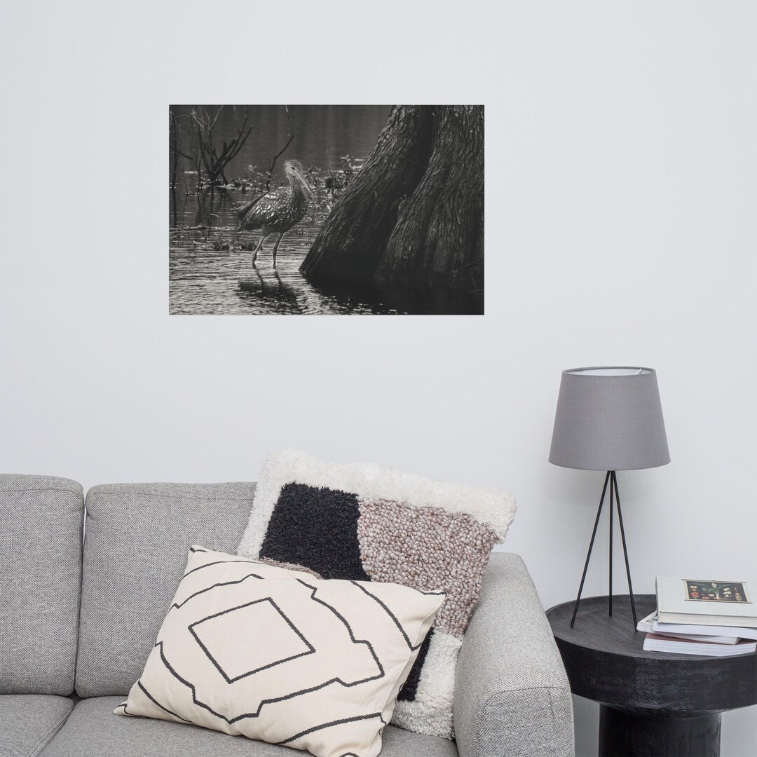 Black and White Limpkin Print, Cypress Swamp Bird Wall Art, Tree Water ...