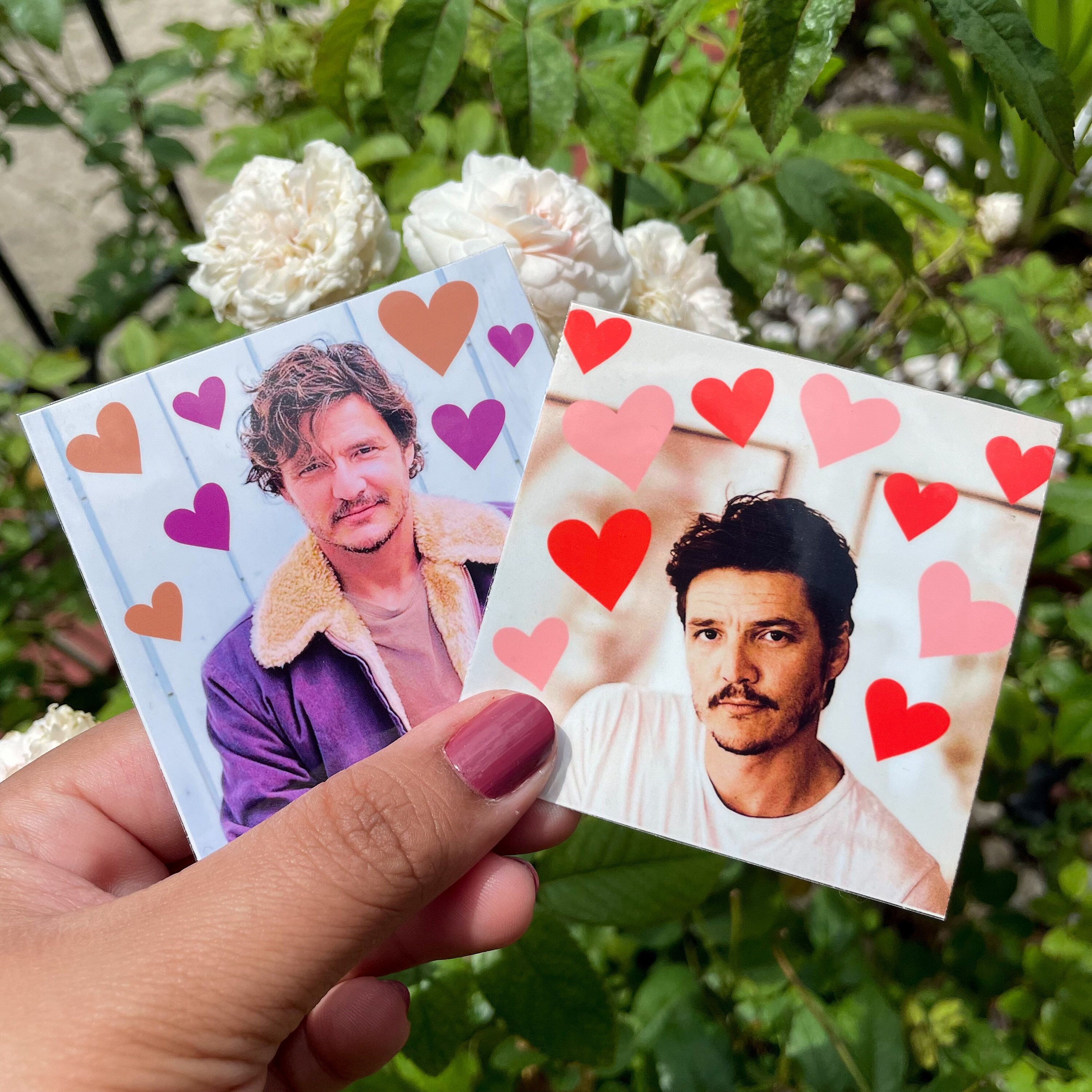 Pedro Pascal Lighter Wrap, Fun Pedro Gifts, Aesthetic Lighter Wrap - Etsy