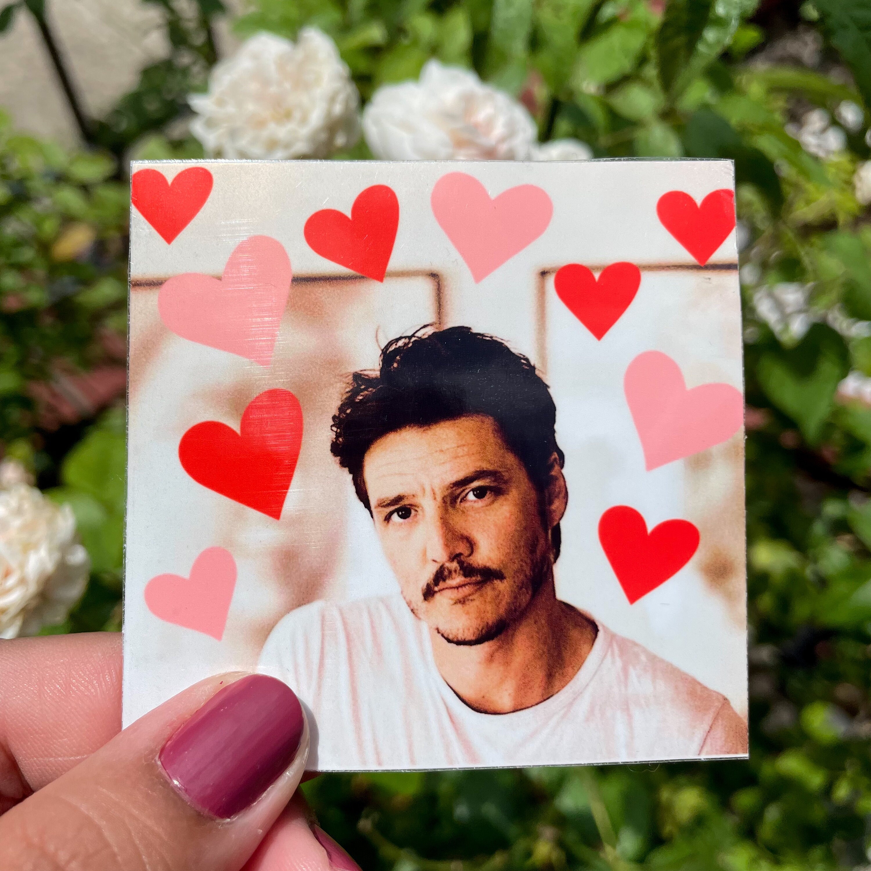 Pedro Pascal Lighter Wrap, Fun Pedro Gifts, Aesthetic Lighter Wrap - Etsy