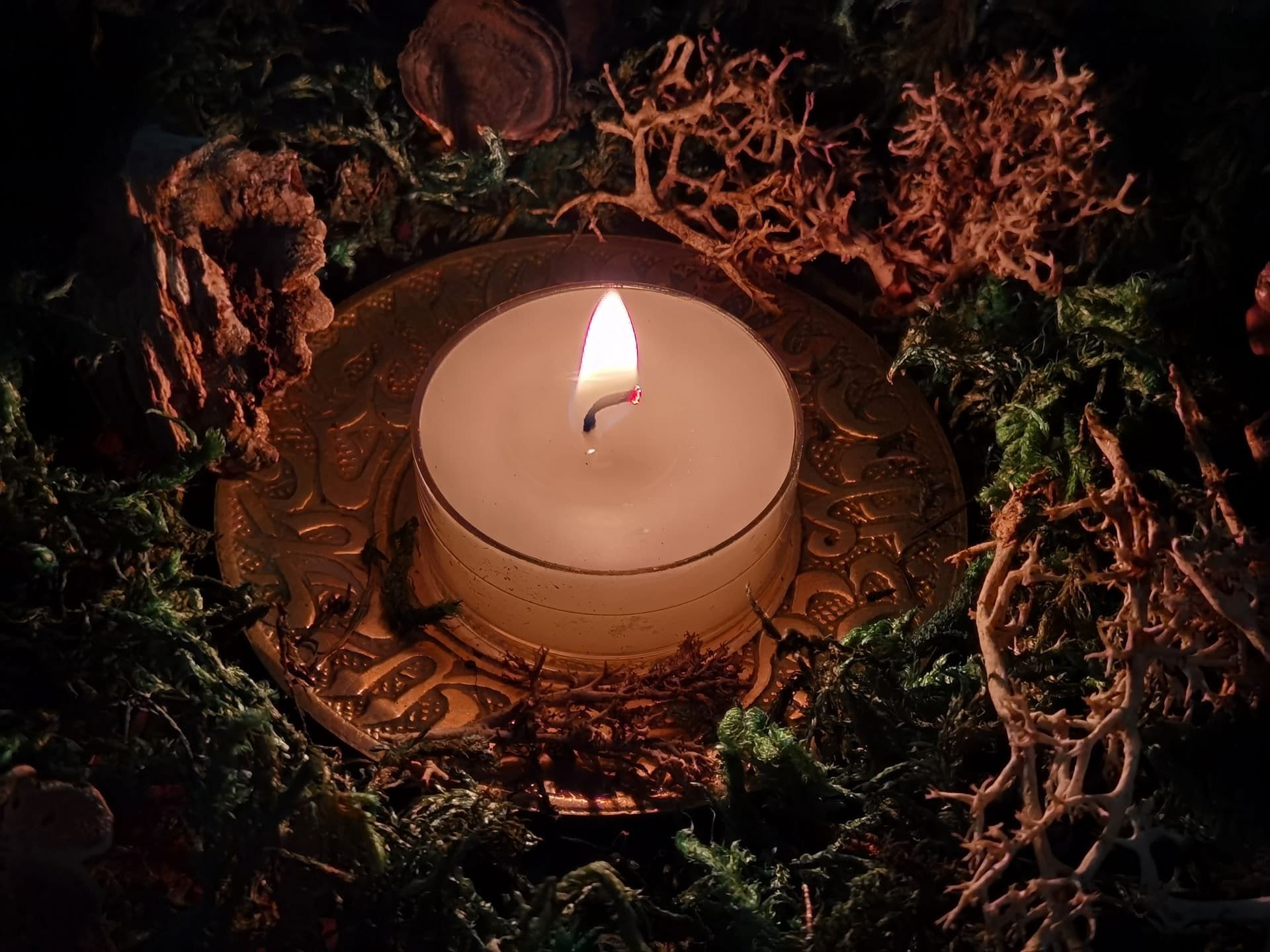 Grow a Part of Your Body Spell / Reduce a Part of Your Body Spell ...