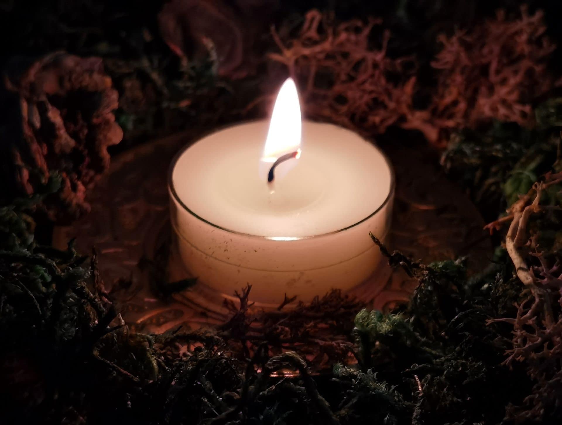 Grow a Part of Your Body Spell / Reduce a Part of Your Body Spell ...