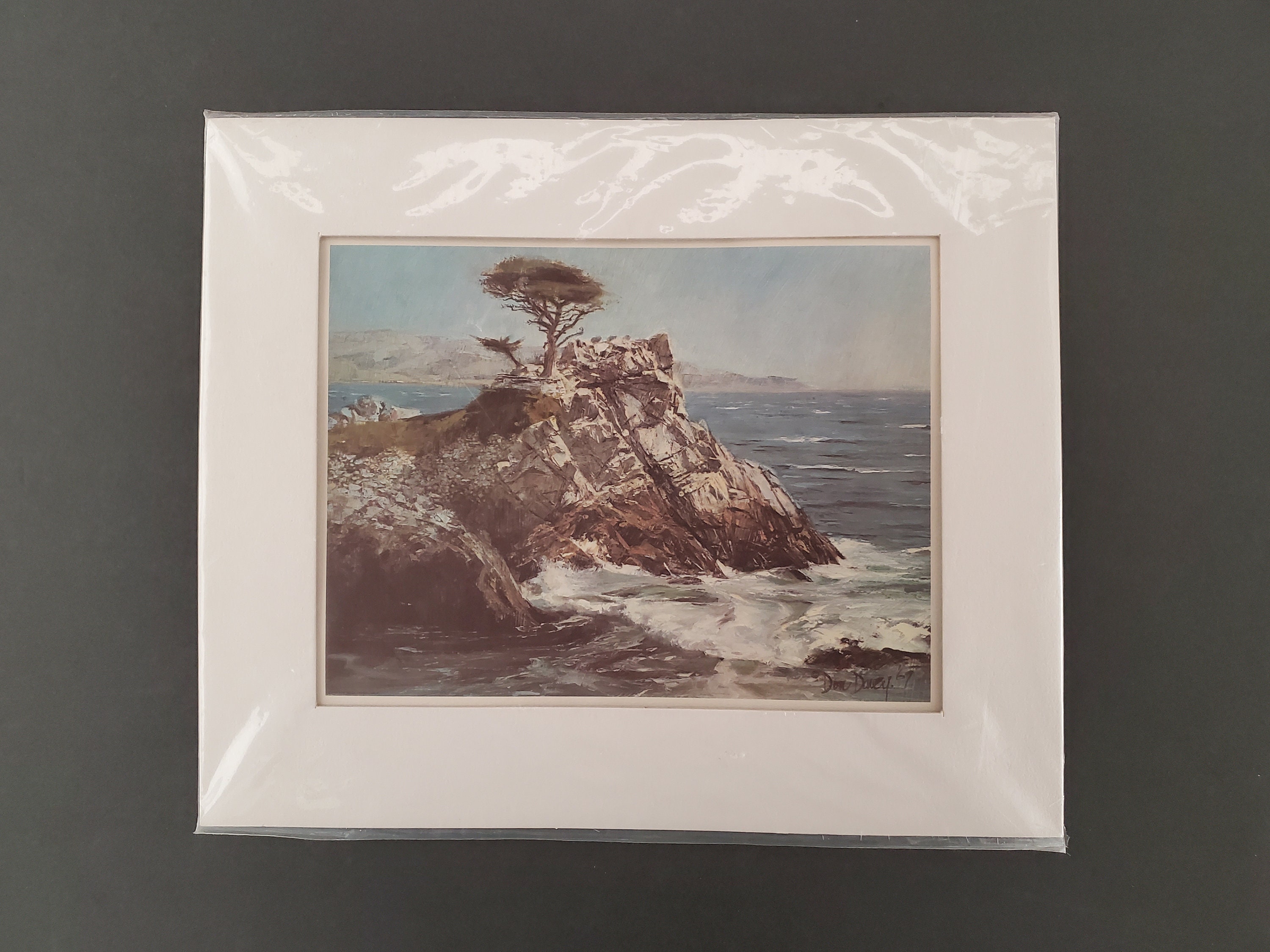 Don Davey 1960's-70's Collector Set - Etsy