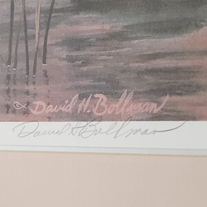 David Bollman Artist Proof Signed Lithograph, Loons on Water - Etsy