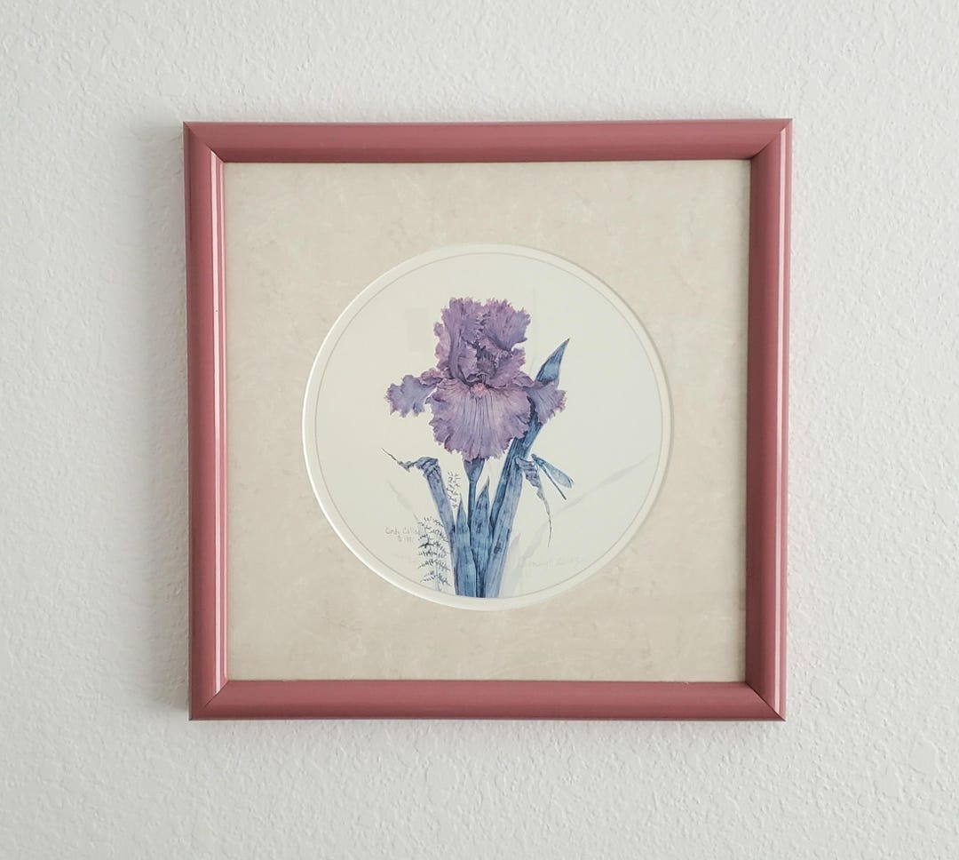 1991 Cyndy Callog Signed Limited Edition 18/45 Bearded Iris and ...