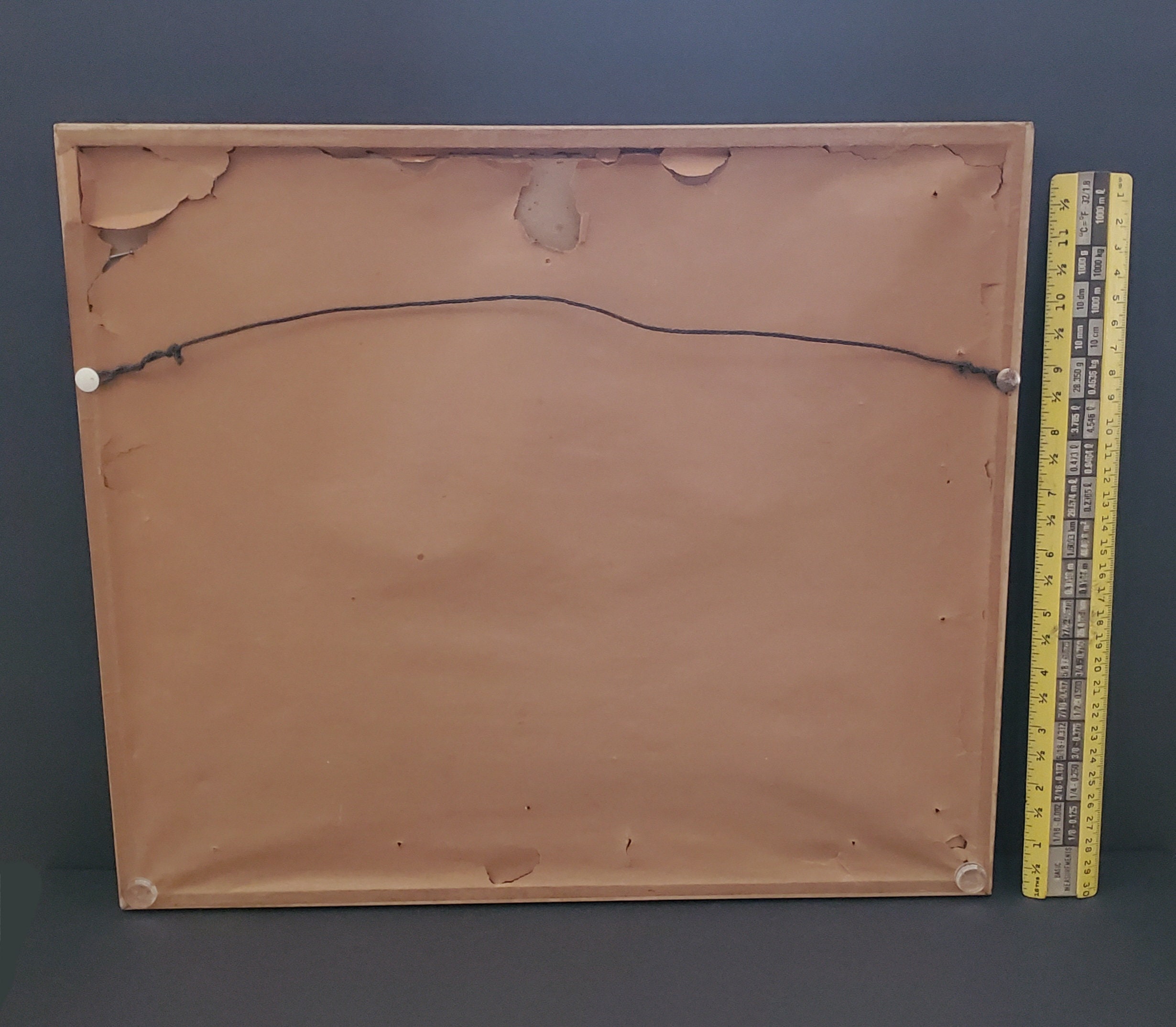 Mid-century Paris Etching Society Print les Bouleaux the Birches in ...