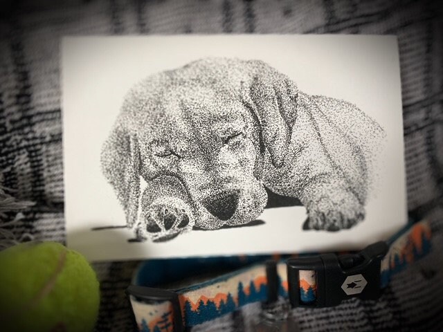 Pen and Ink Stippling Puppy - Etsy