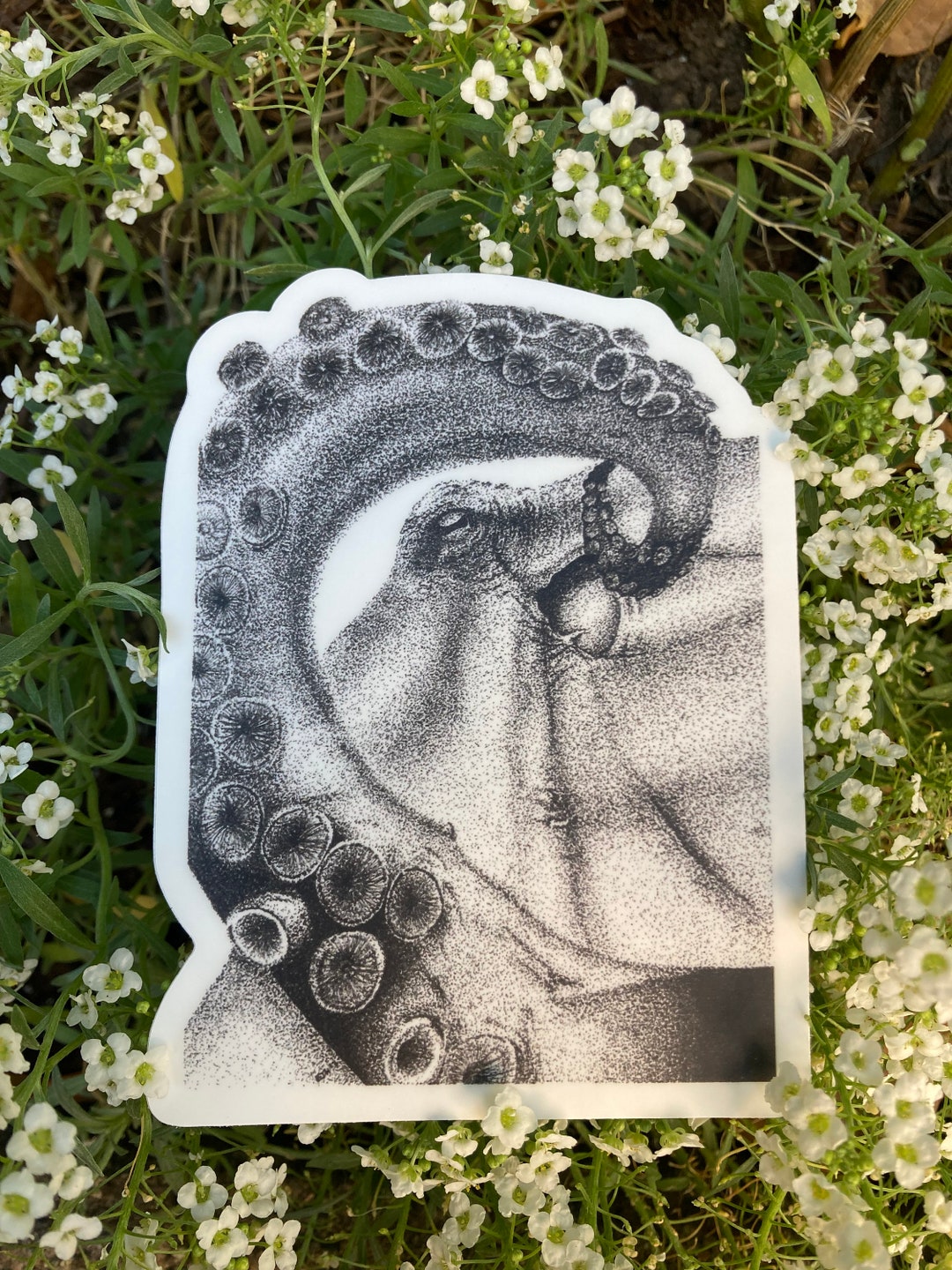 Vinyl Octopus Sticker - Etsy