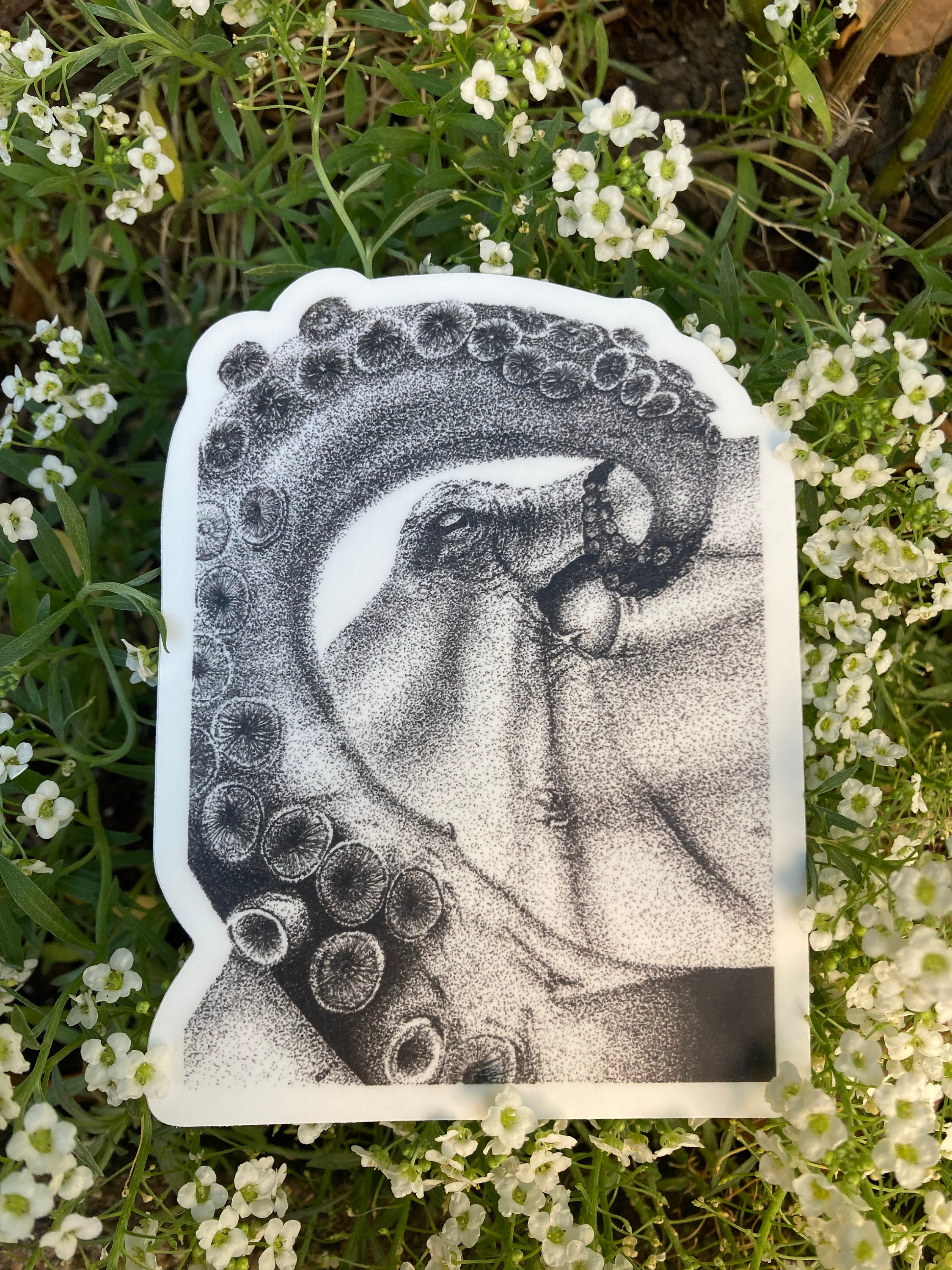 Vinyl Octopus Sticker - Etsy