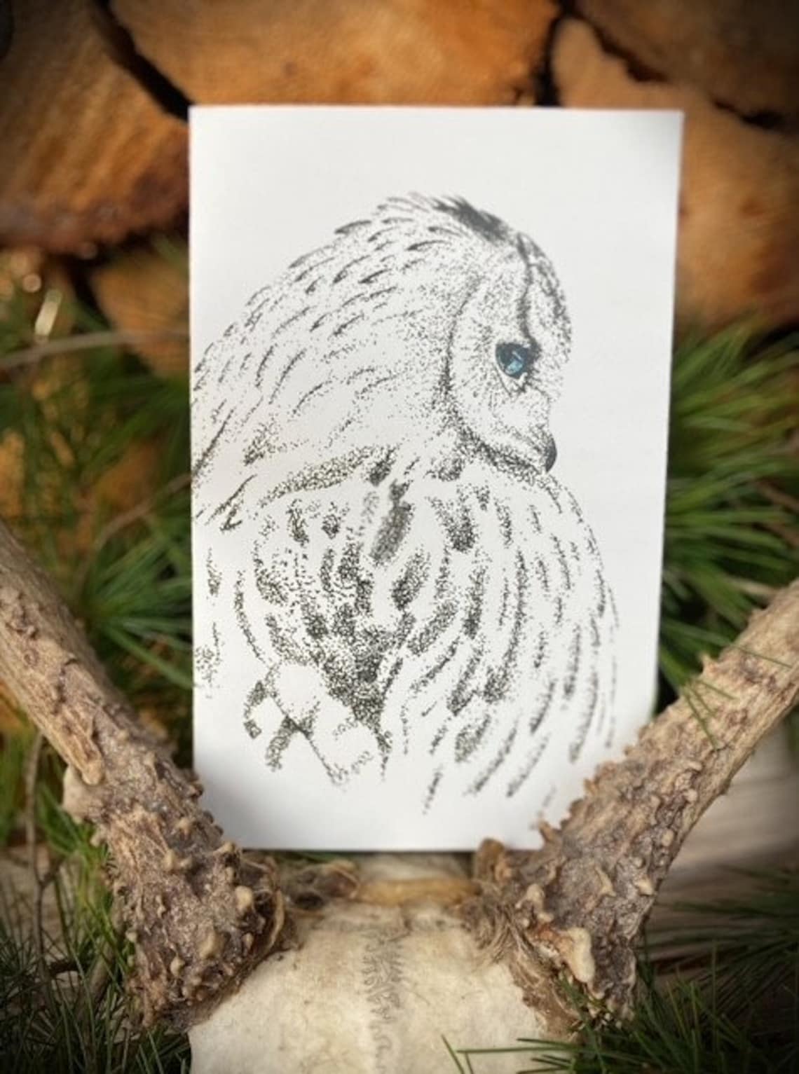 Pen and Ink Stippling Owl - Etsy