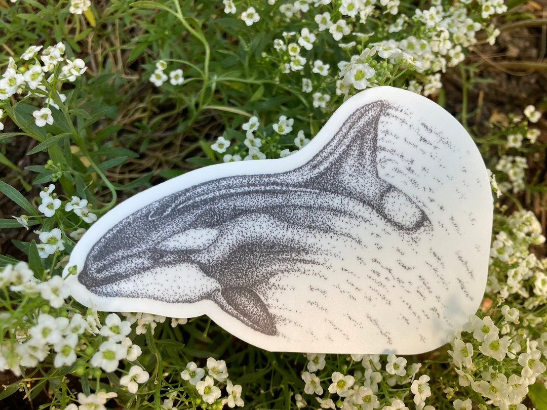 Vinyl Orca Sticker - Etsy