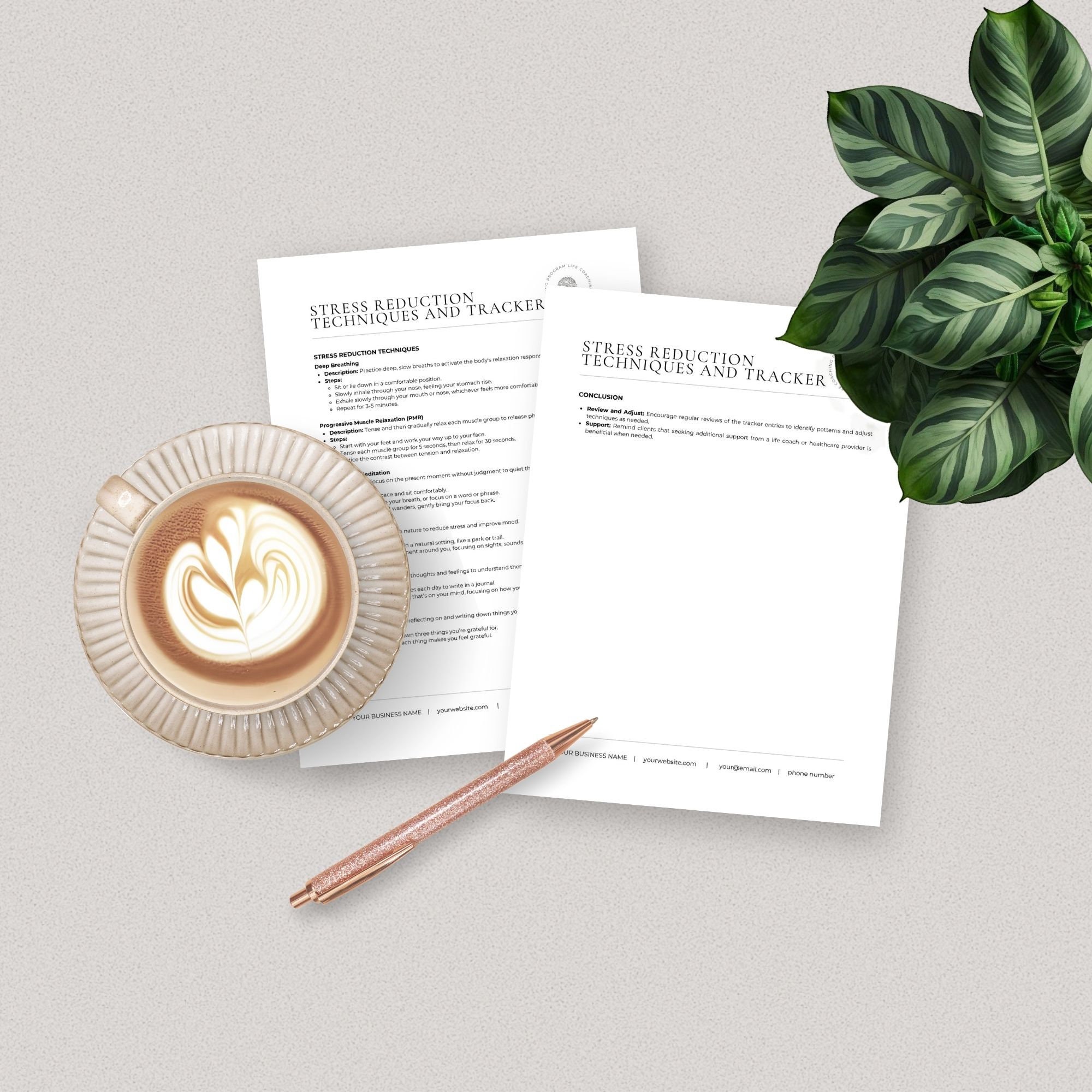 Stress Reduction Techniques and Tracker Template for Life Coach, Stress ...