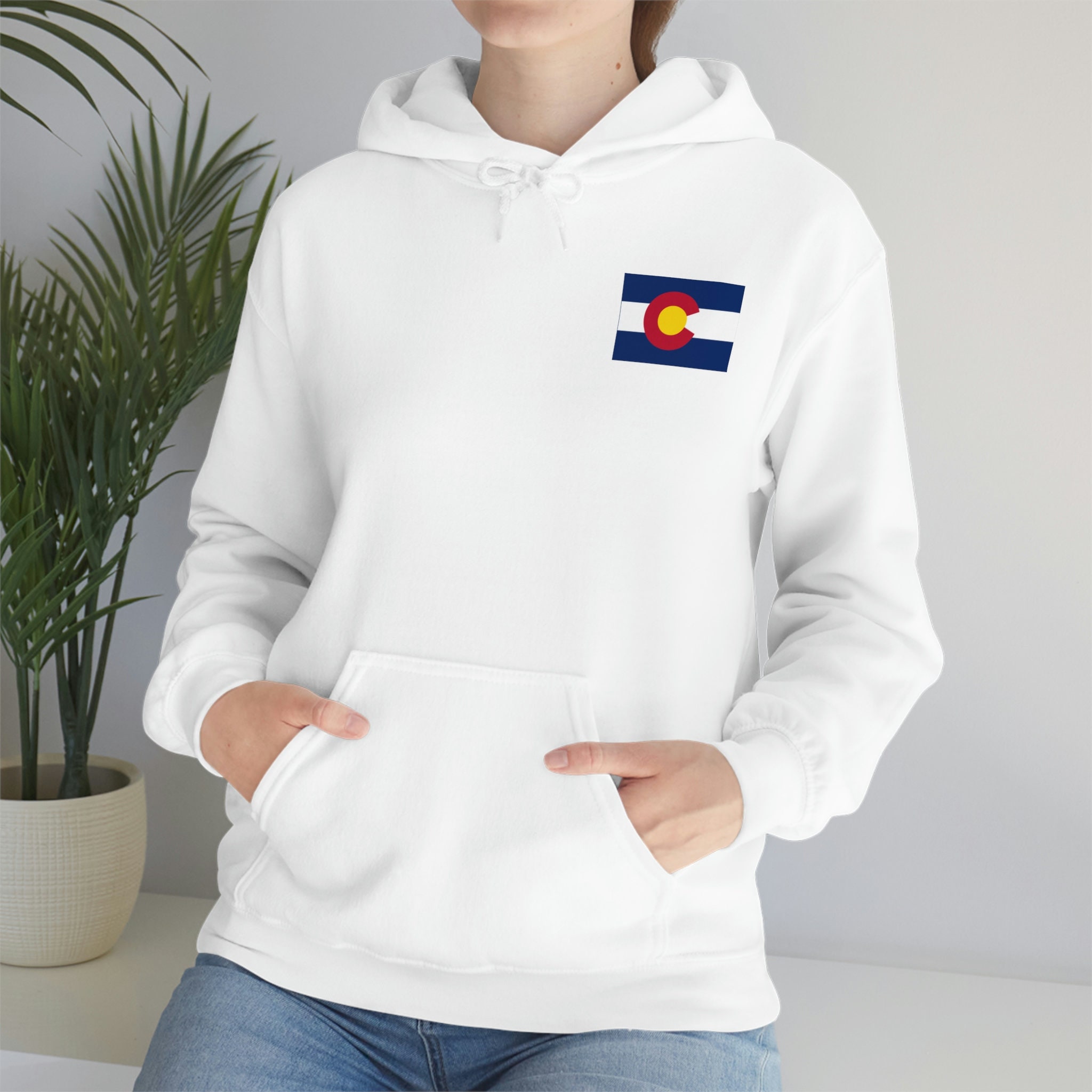 Colorado Flag Hooded Sweatshirt