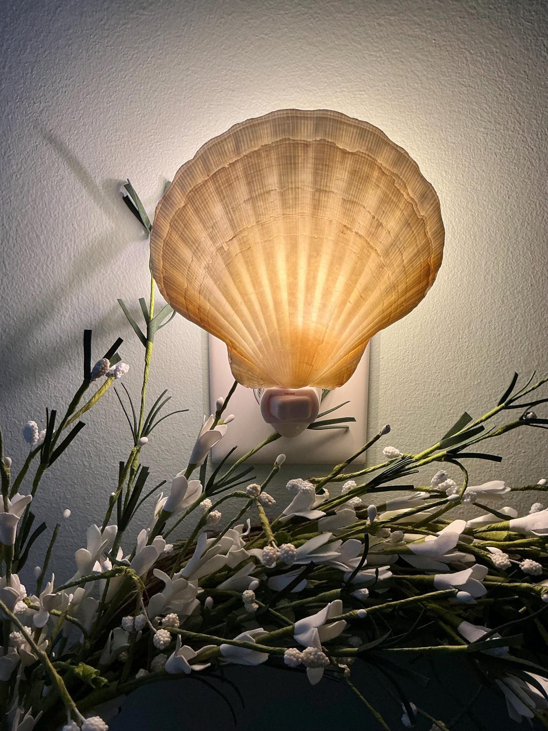 Beautiful New Handcrafted Large Authentic Scallop Shell LED Nightlight ...