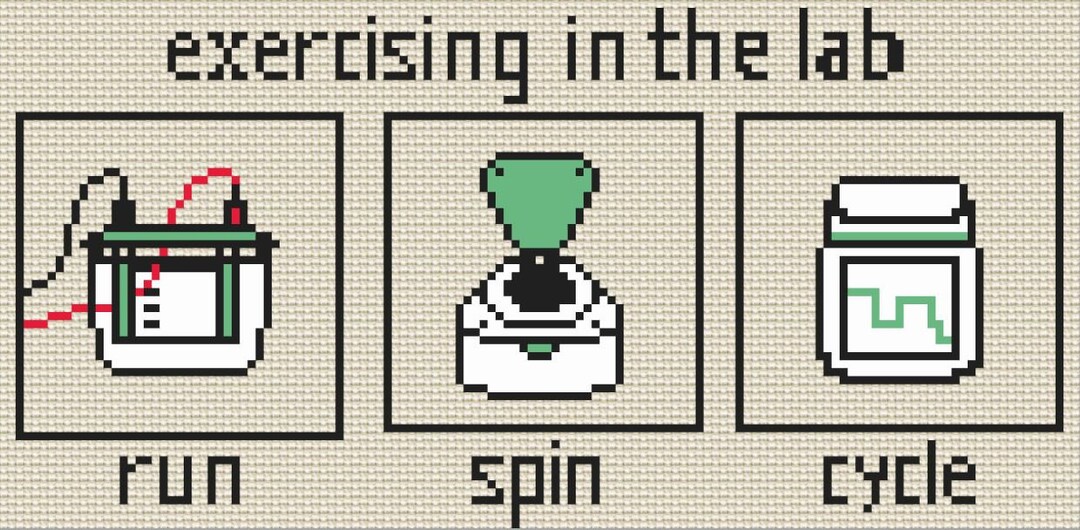 Lab Work Out Cross Stitch Pattern - Etsy