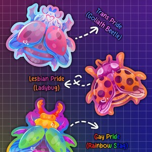 Pride Beetle Stickers - Etsy