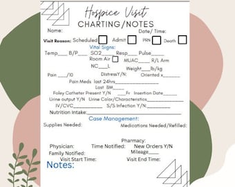 Hospice Nurse Clinical Note Template - Etsy