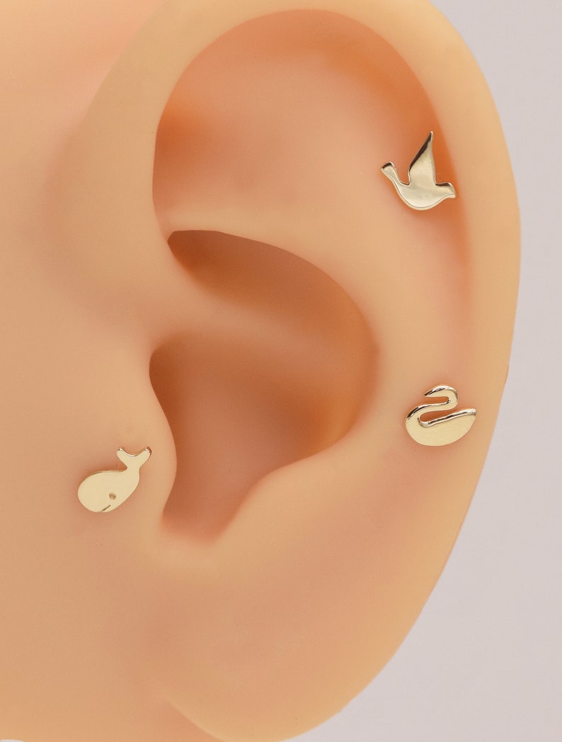14k Solid Gold Tiny Animal Stud Earring Whale Swan Bird Cartilage ...
