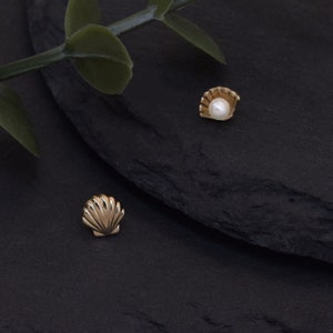 14K Solid Gold Shell Stud Earrings Pearl Cartilage Stud Earring Conch ...