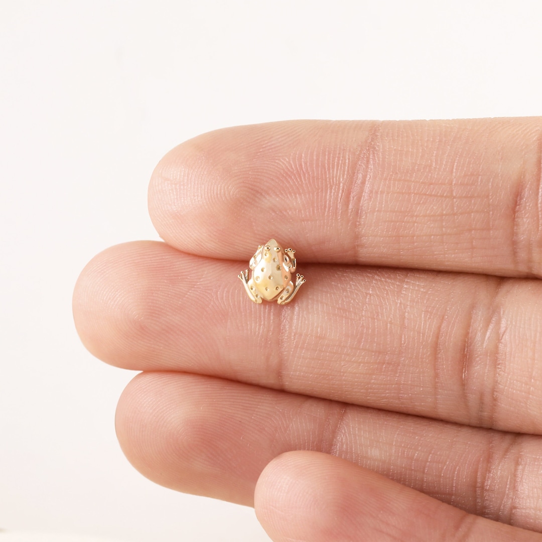 14k Solid Gold Frog Stud Earrings Dainty Gold Helix Stud Conch Stud ...