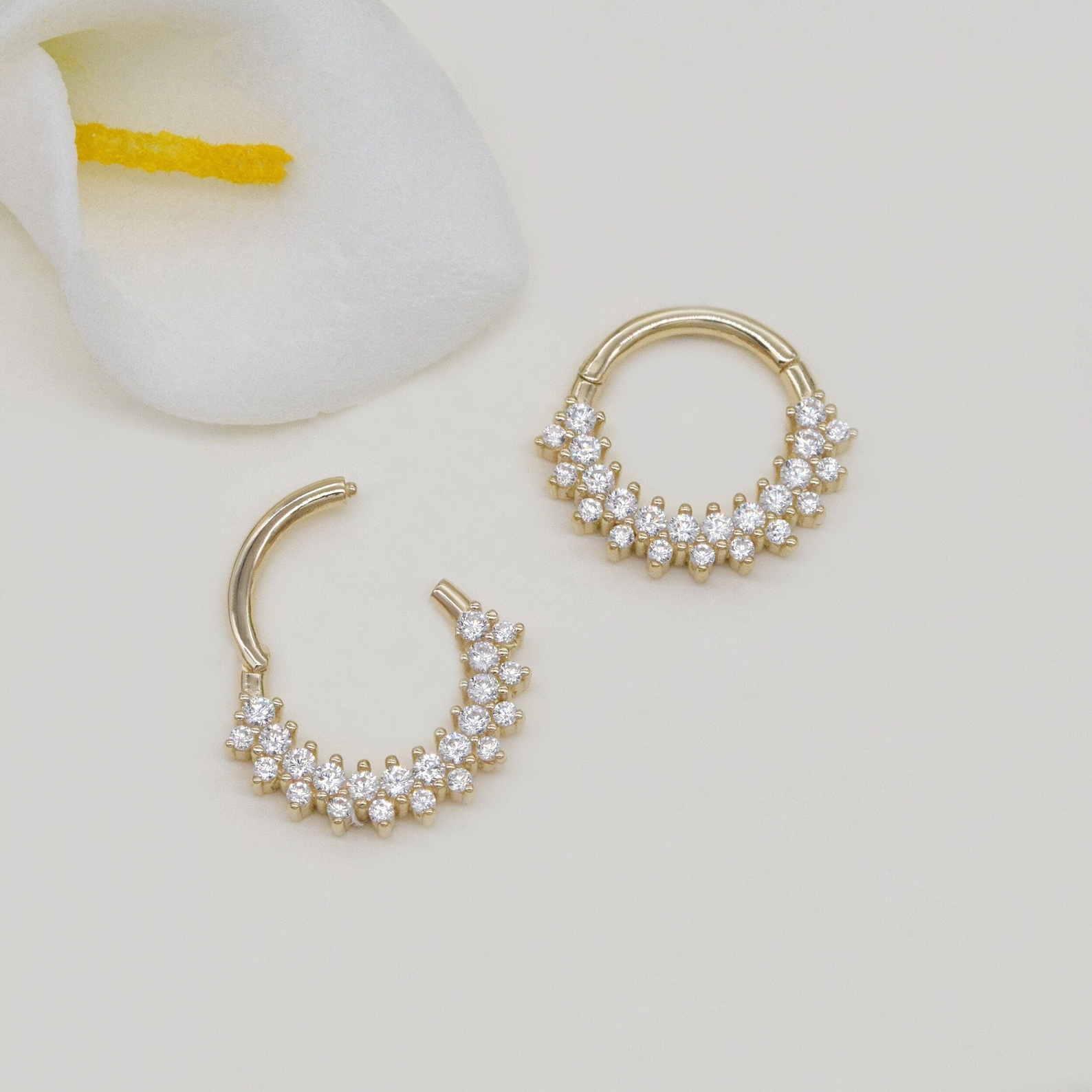 14K Solid Gold Double Row Hinged Segment Hoop Ring Forward Facing ...