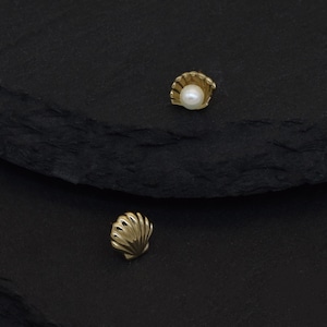 14K Solid Gold Shell Stud Earrings Pearl Cartilage Stud Earring Conch Helix Stud Gold Tragus ...