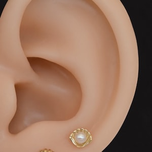14K Solid Gold Shell Stud Earrings Pearl Cartilage Stud Earring Conch Helix Stud Gold Tragus ...