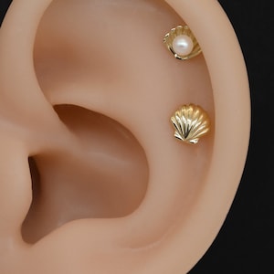 14K Solid Gold Shell Stud Earrings Pearl Cartilage Stud Earring Conch Helix Stud Gold Tragus ...