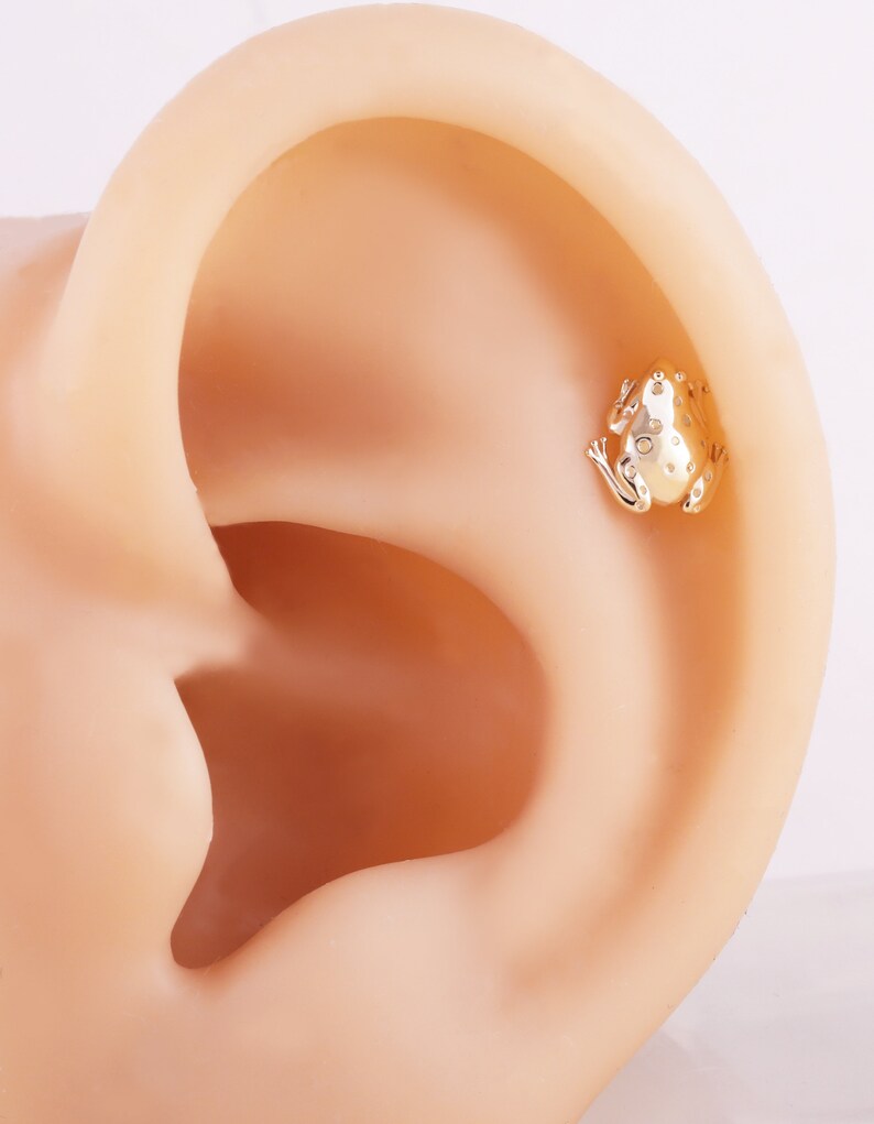 14k Solid Gold Frog Stud Earrings Dainty Gold Helix Stud Conch Stud ...